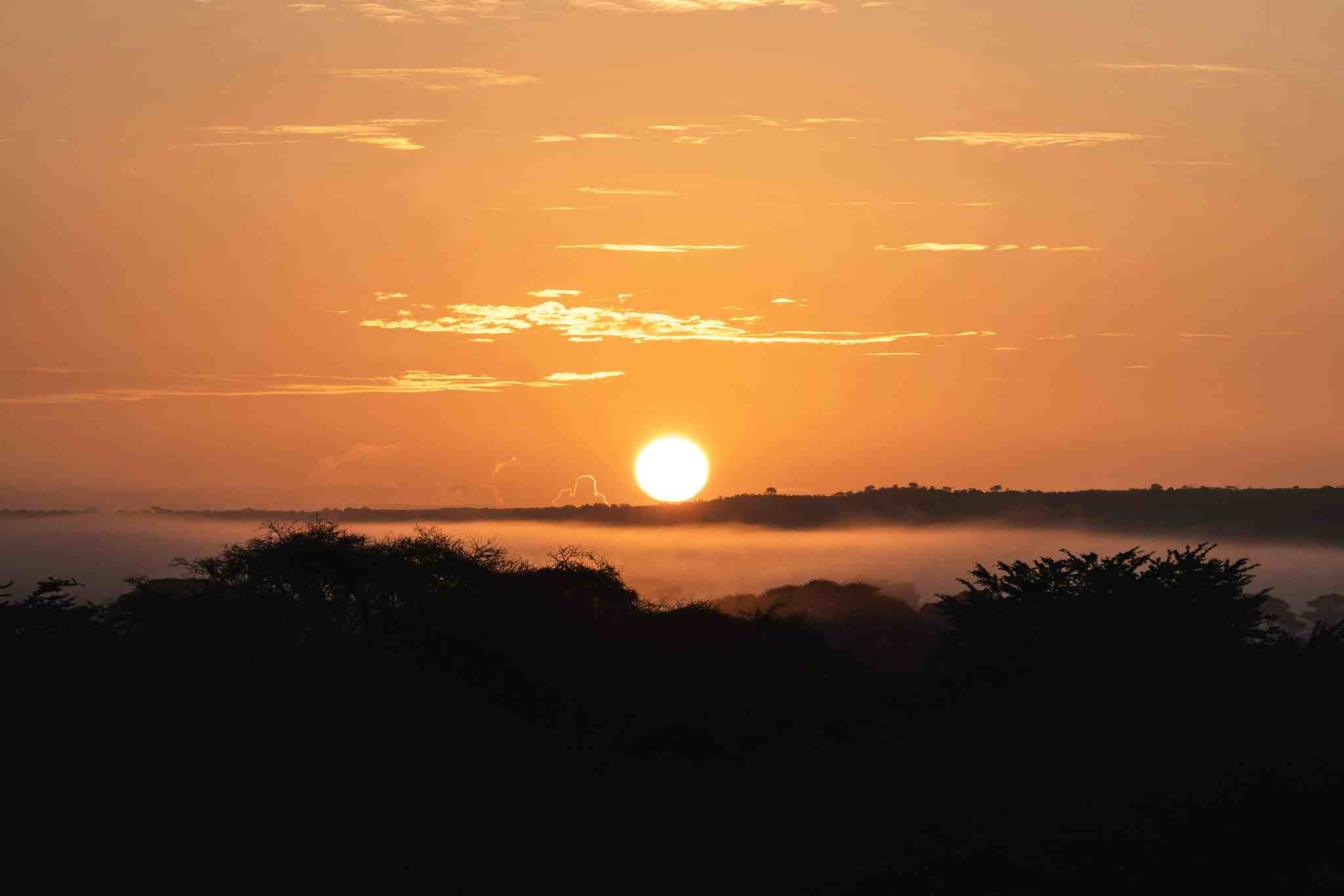 Amboseli National Park Kenya: 2026 Guide With 23 FAQs