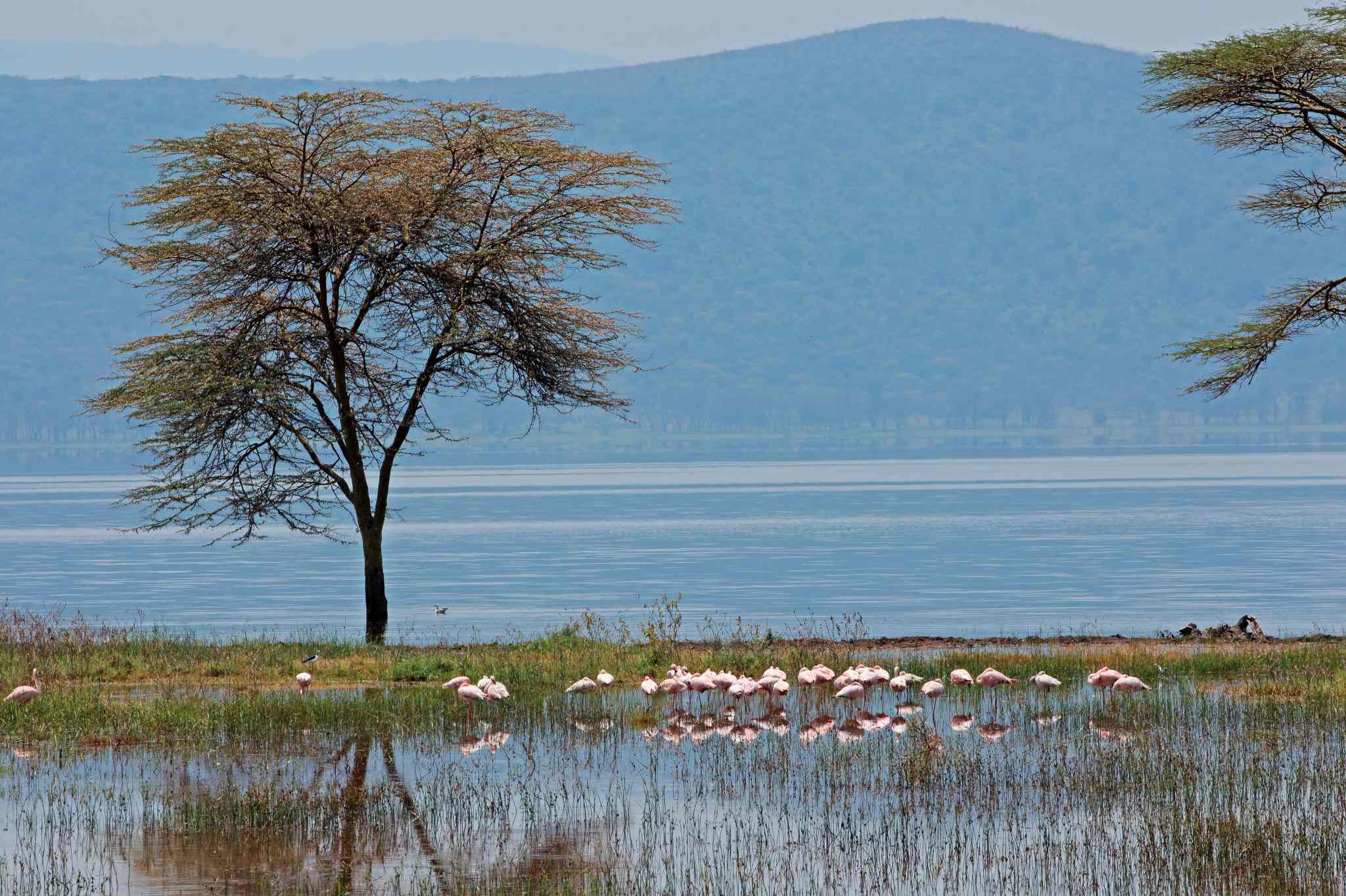 When Is The Best Time To Visit Kenya? Month-by-Month Guide